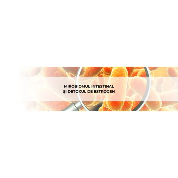 Microbiomul intestinal și endometrioză