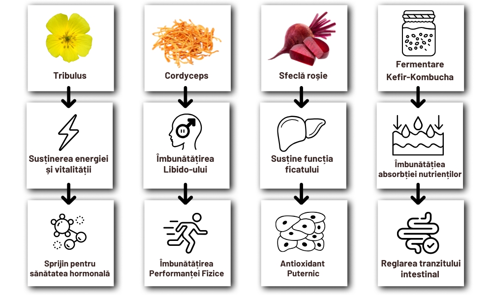 Organic Fermented NitroX (60 capsule), Living Nutrition de la Botaniq ...