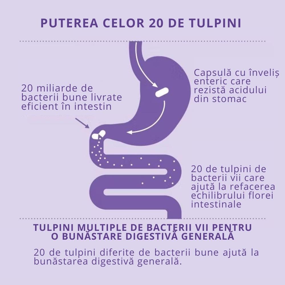 Neu Biotic Multi Strain Probiotic 20 miliarde (60 capsule), Neutrient ...